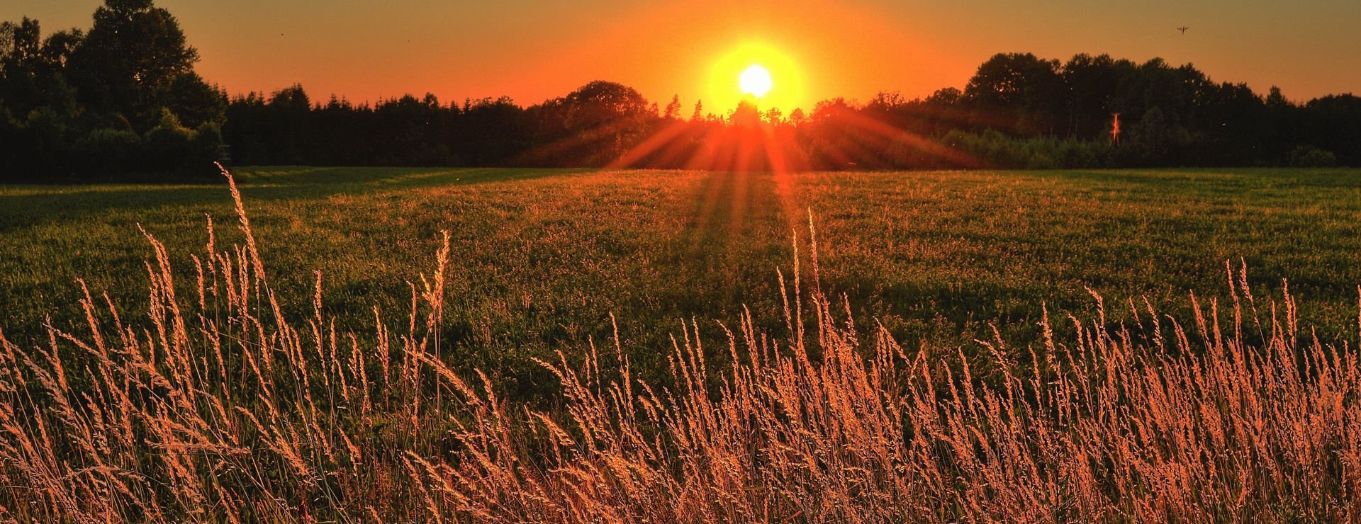 广州市从化区深耕社会工作服务中心
